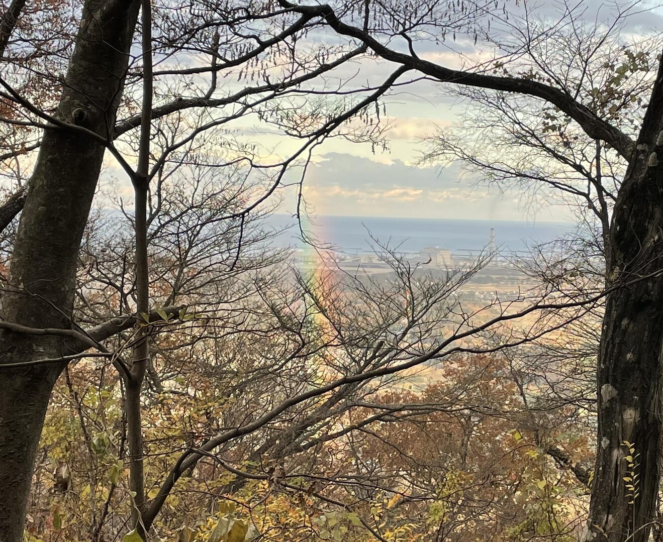 鹿狼山🍁 / komeさんの鹿狼山の活動データ | YAMAP / ヤマップ