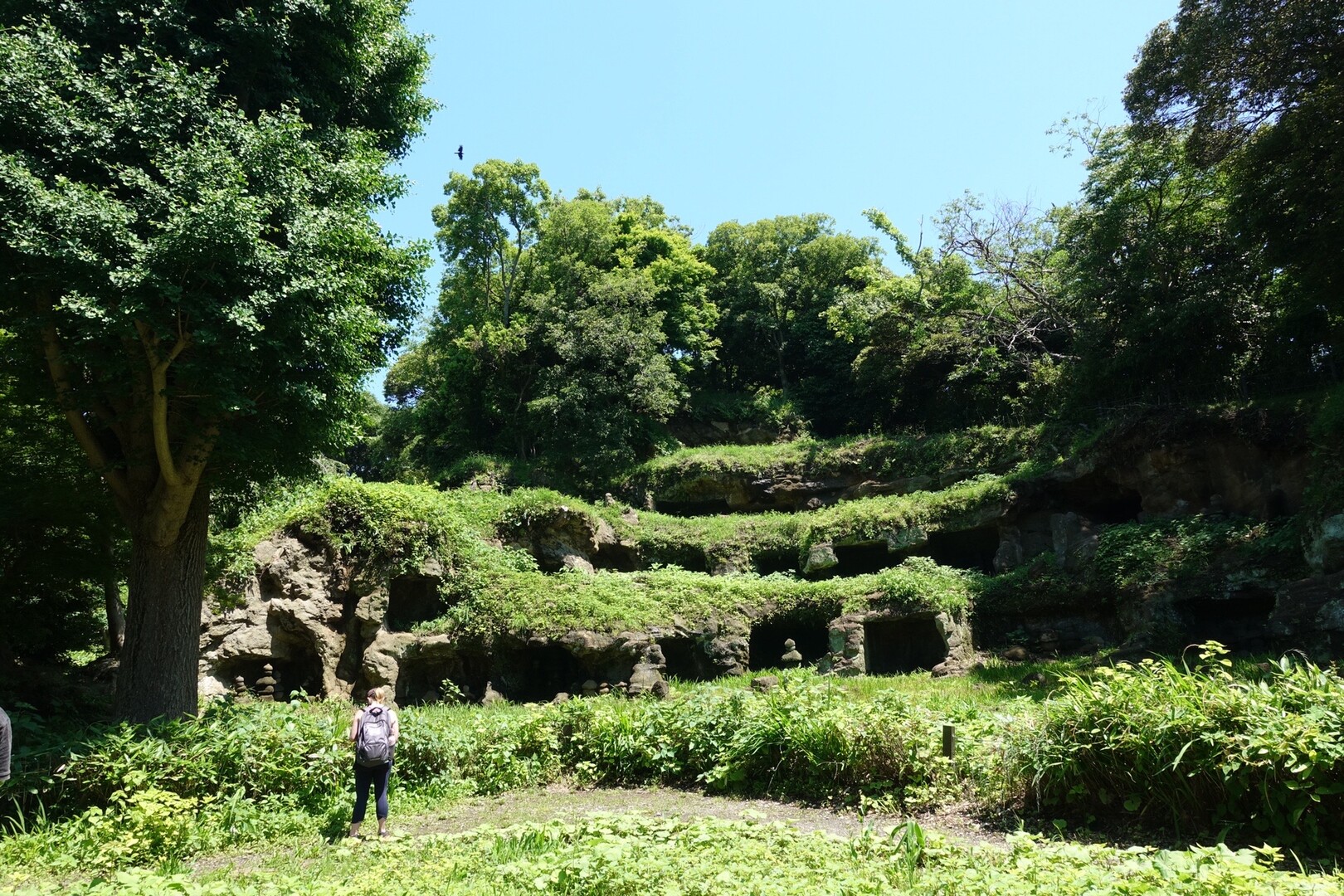逗子市にあるまんだら堂やぐら群が公開され... / Kbirdさんのモーメント | YAMAP / ヤマップ