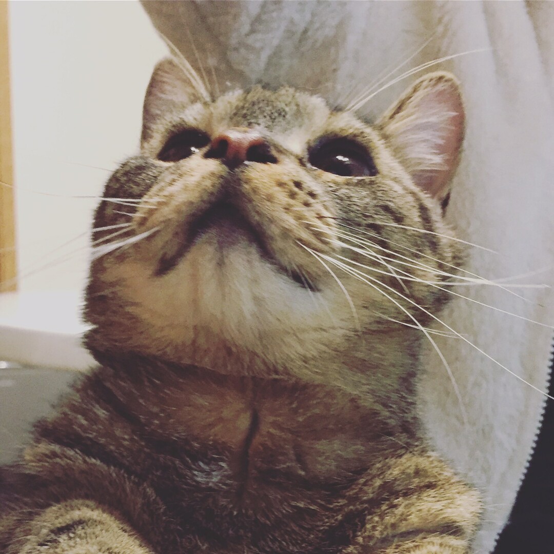 ちゃむのページ | YAMAP / ヤマップ