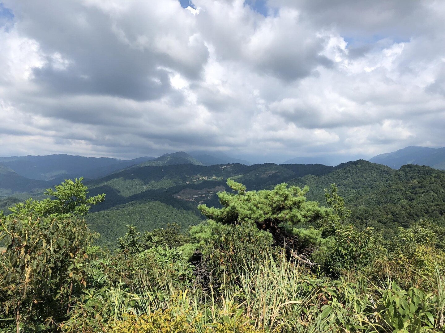飲み会翌日の尖山 / Wakaさんの尖山の活動データ | YAMAP / ヤマップ