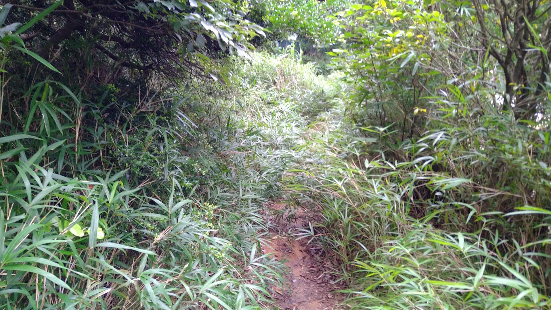 kame11さんの投稿したフィールドメモ | YAMAP / ヤマップ