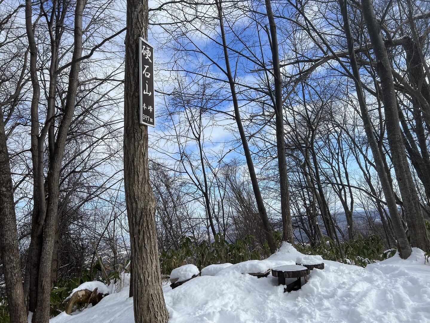 硬石山（西峰）・硬石山（本峰）・硬石山（東峰） / maya-mayaさんの硬石山の活動データ | YAMAP / ヤマップ