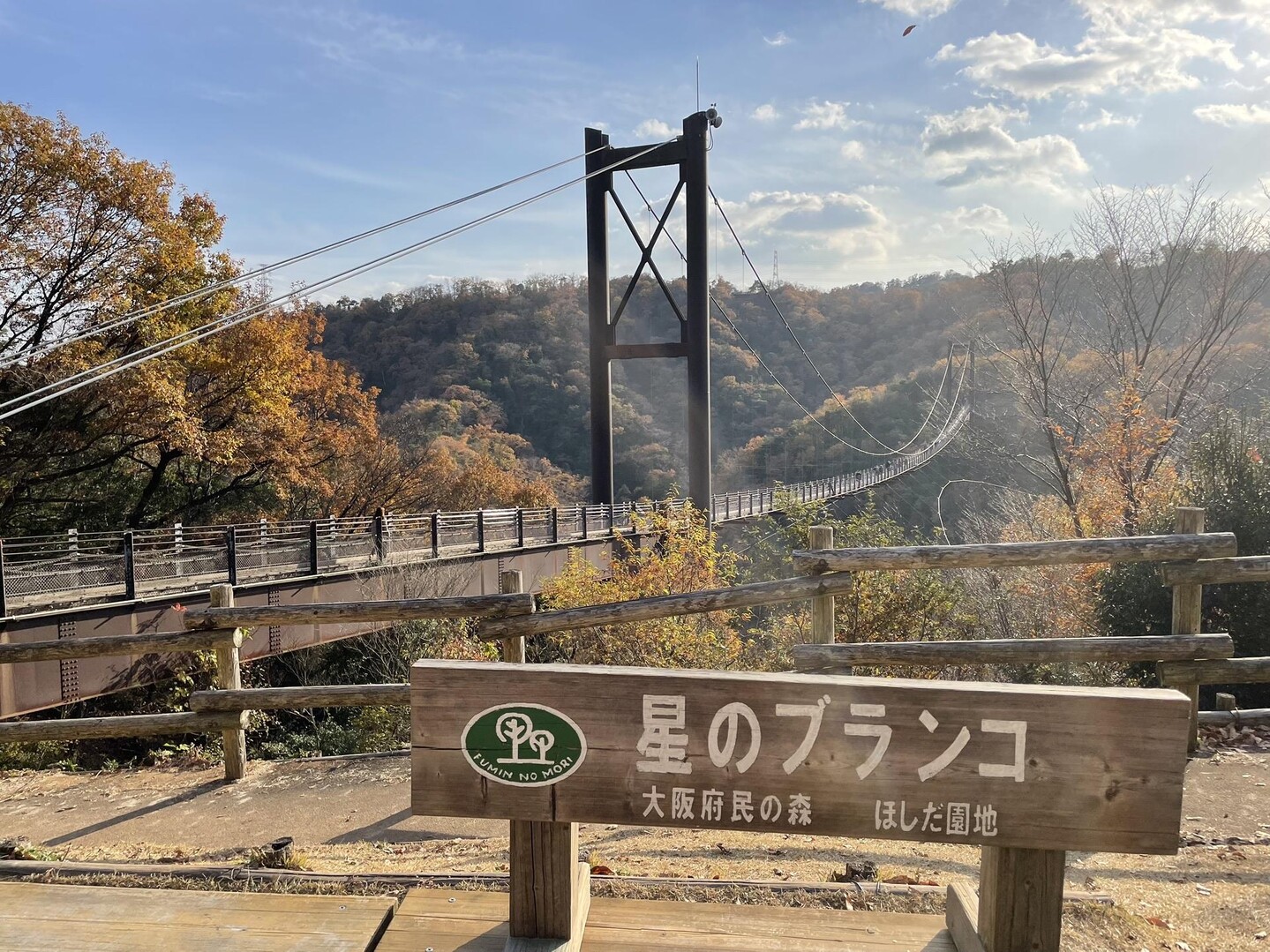 星田60座 / 荒木さんの交野山・国見山の活動データ | YAMAP / ヤマップ