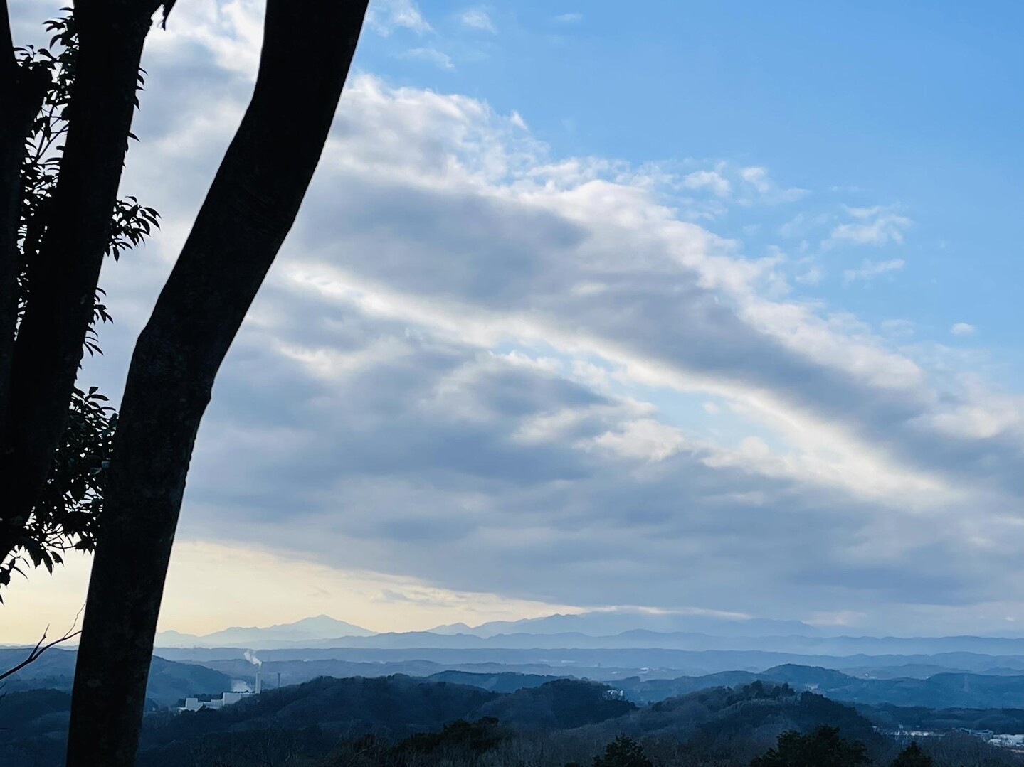 天覧山・神久山・太郎坊・多峯主山 / tam-tamさんの天覧山・多峯主山・天覚山の活動データ | YAMAP / ヤマップ