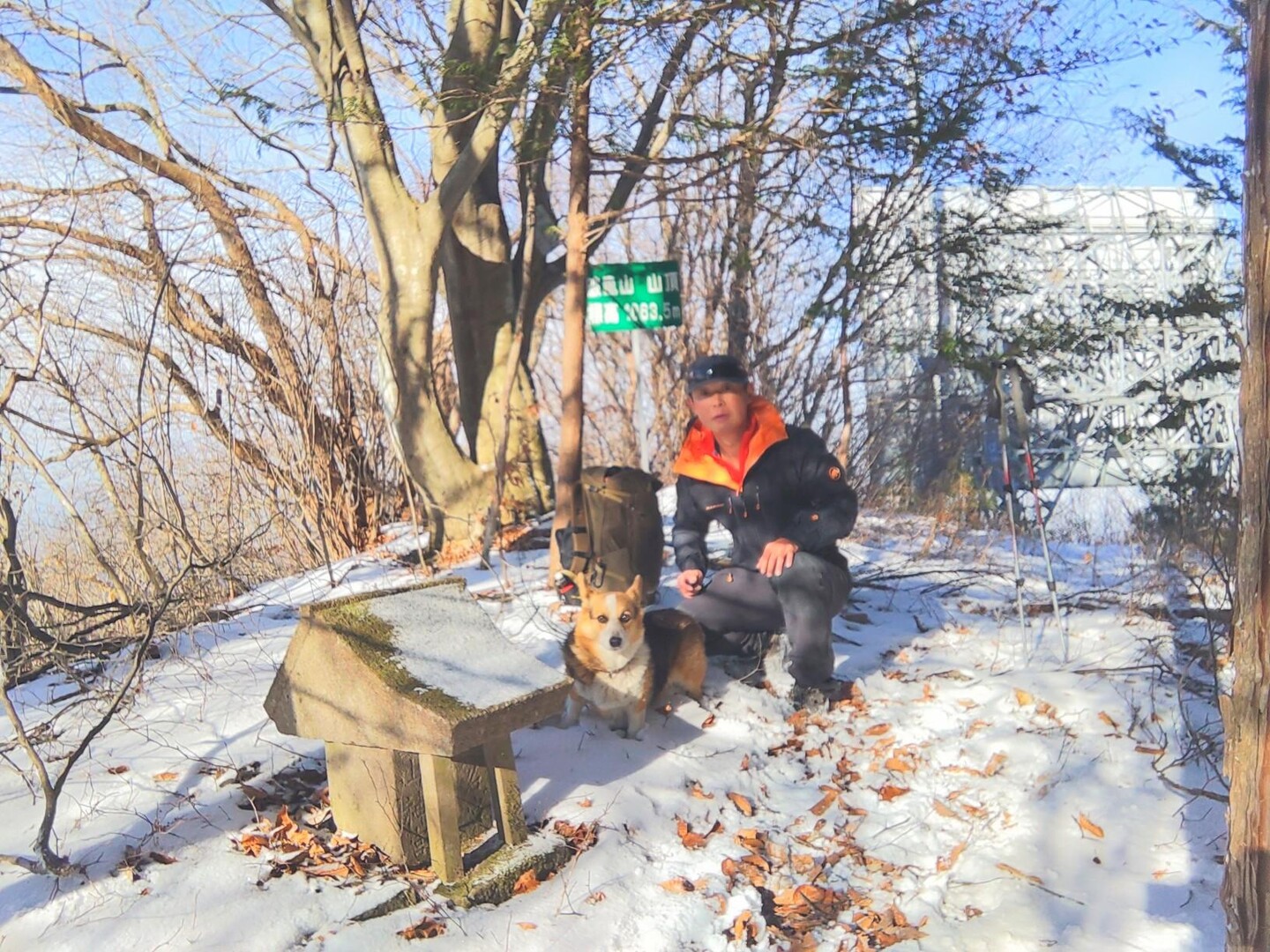 初級VR🤔⁉️破風山〜二階山周回 / 京錦さんの破風山の活動データ | YAMAP / ヤマップ