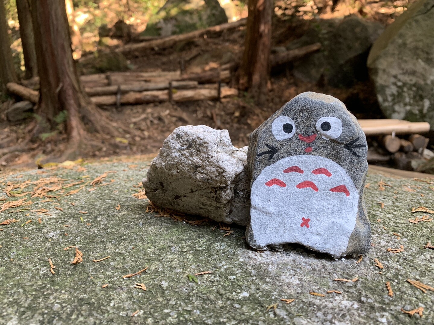 正現岳・金立山 / asamiさんの金立山・金敷城山の活動データ | YAMAP / ヤマップ