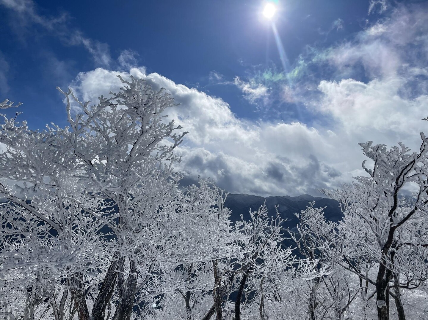 高見山 / しげはるさんの高見山・黒石山・天狗山の活動データ | YAMAP / ヤマップ
