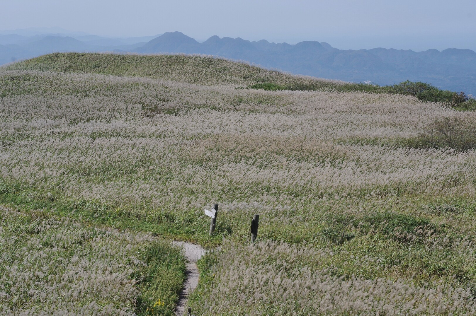秋晴れの三瓶山 / koroさんの三瓶山・大平山の活動データ | YAMAP / ヤマップ