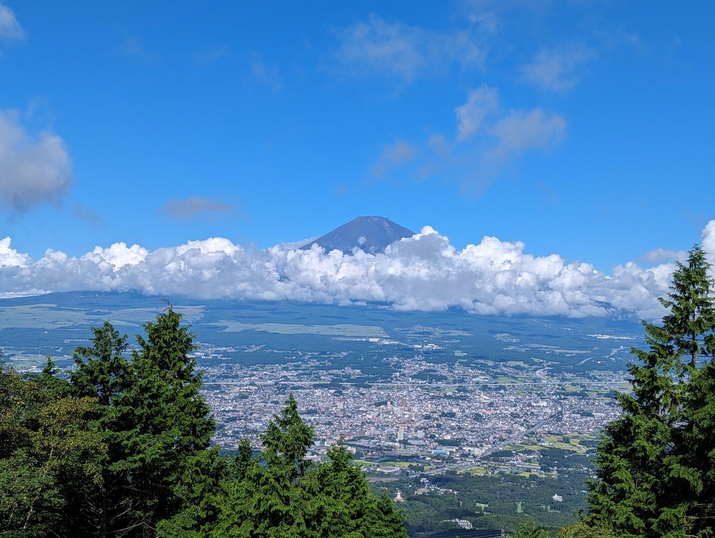 金時山・長尾山 / Shun_Taさんの金時山・明神ヶ岳の活動データ | YAMAP / ヤマップ