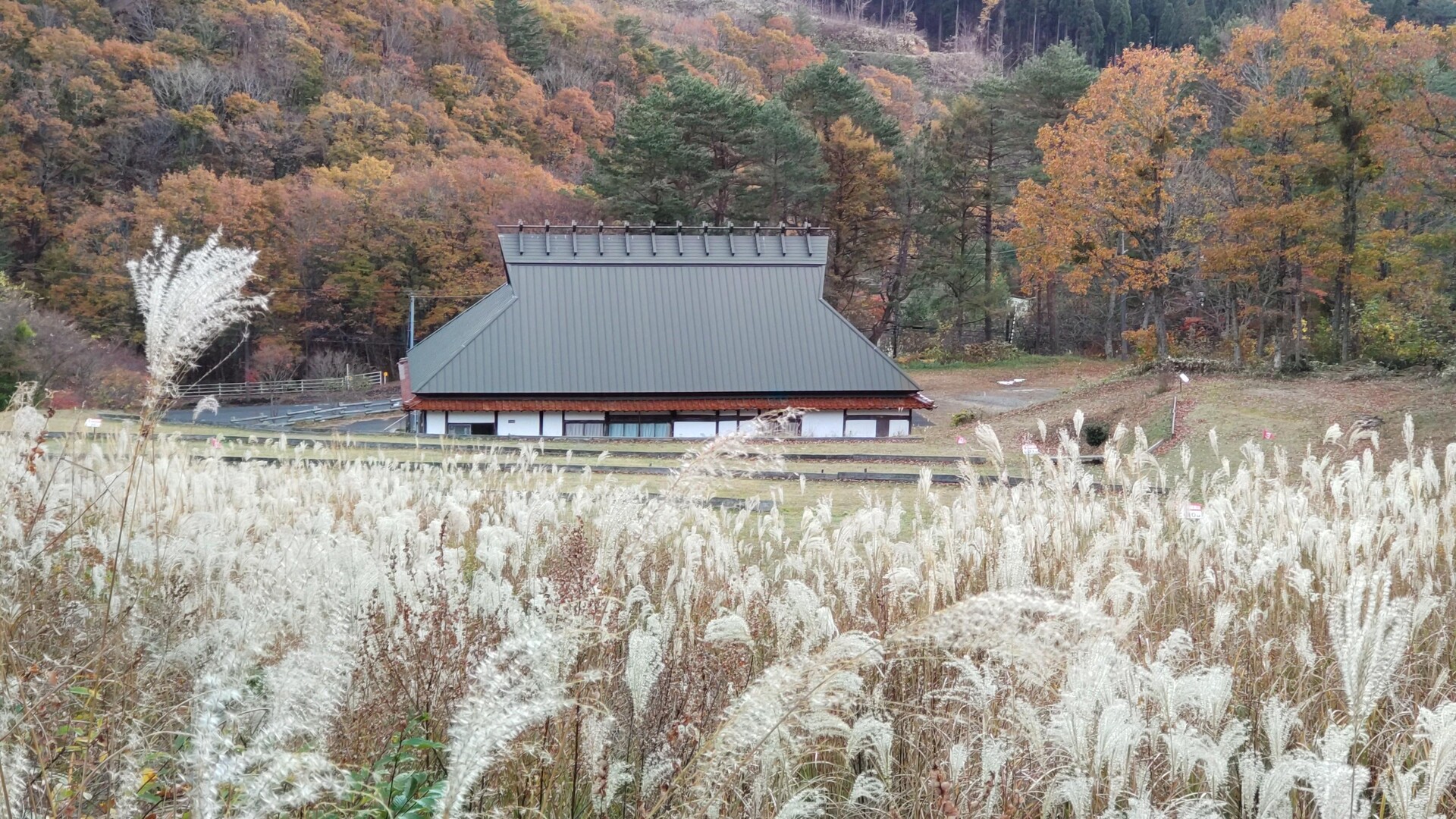 深入山 / Oysterさんの深入山の活動データ | YAMAP / ヤマップ