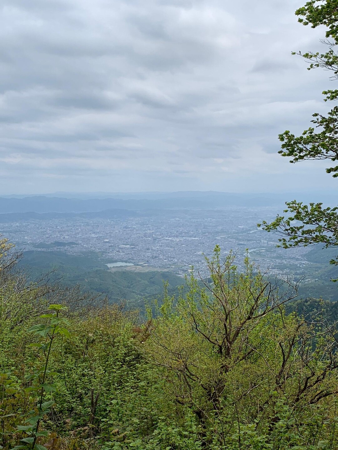 愛宕山 / SA Muraiさんの愛宕山・三頭山・朝日峯の活動データ | YAMAP / ヤマップ