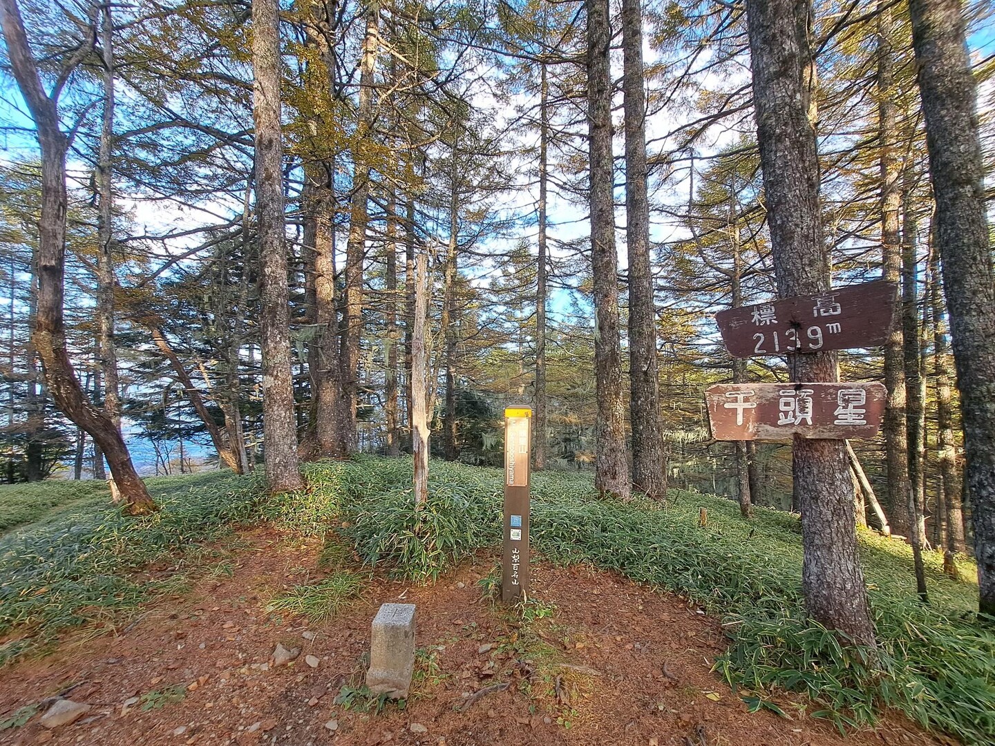 千頭星山 / Daisuke＠3/24 新城トレイル32Kさんの鳳凰山・地蔵岳・観音岳・薬師岳の活動データ | YAMAP / ヤマップ