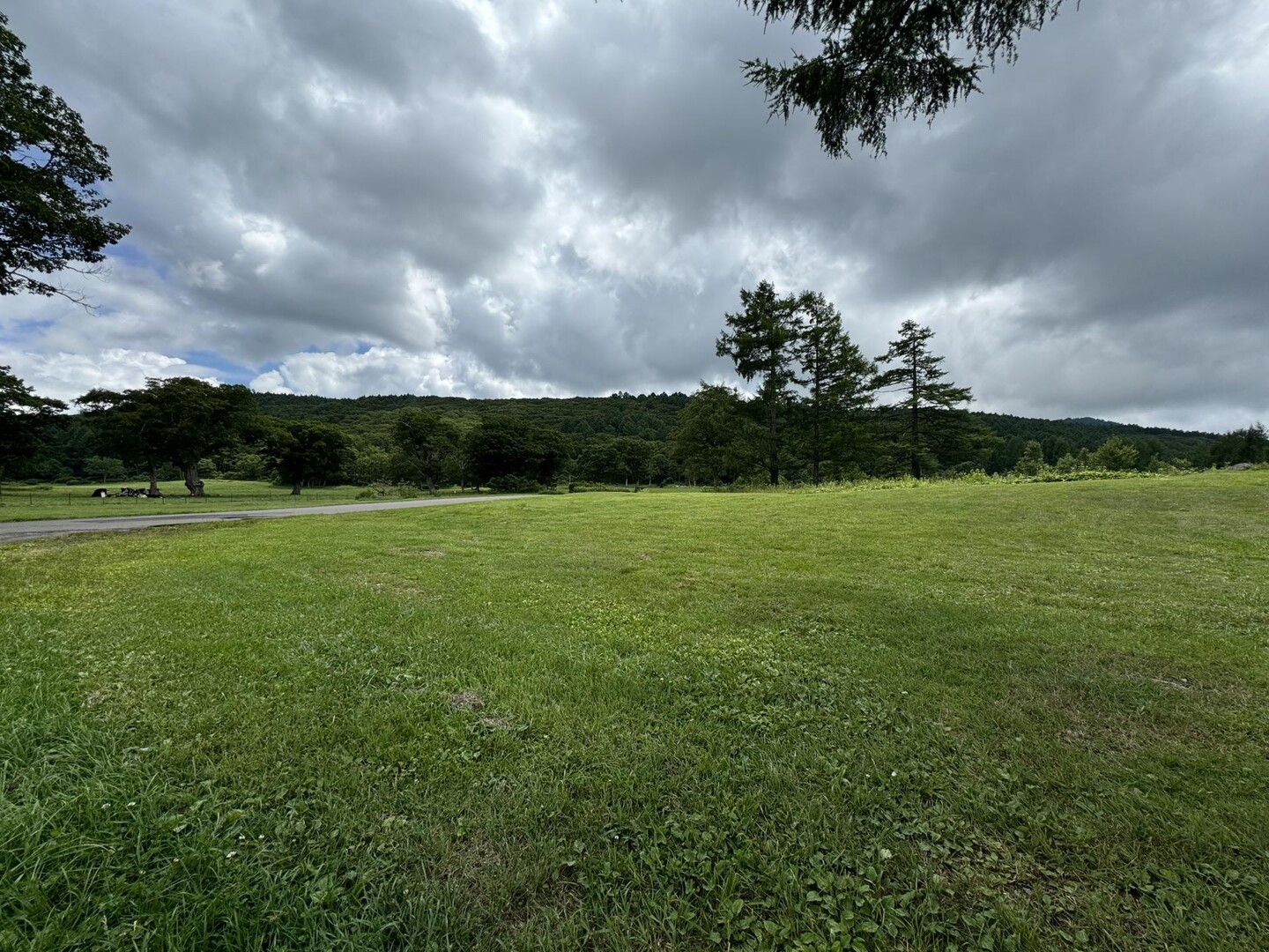 木島平 TR練習 / Hiroさんの高標山・八剣山の活動データ | YAMAP / ヤマップ