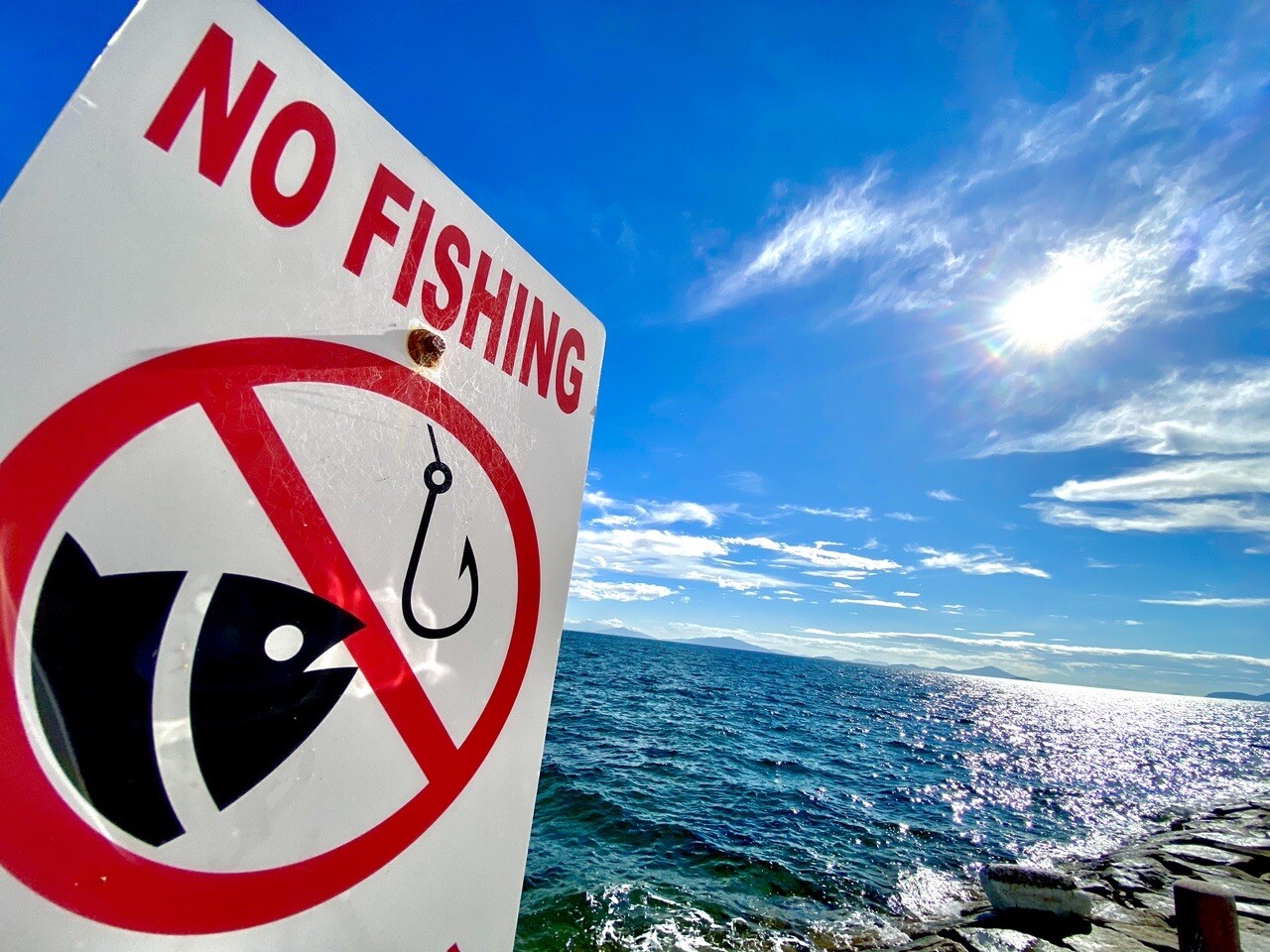 去年の今頃は まだ今ほどの好山病を患って... / - ̗̀ ☺︎ ̖́-Sen_sun- ̗̀ ☺︎ ̖́-さんのモーメント | YAMAP / ヤマップ