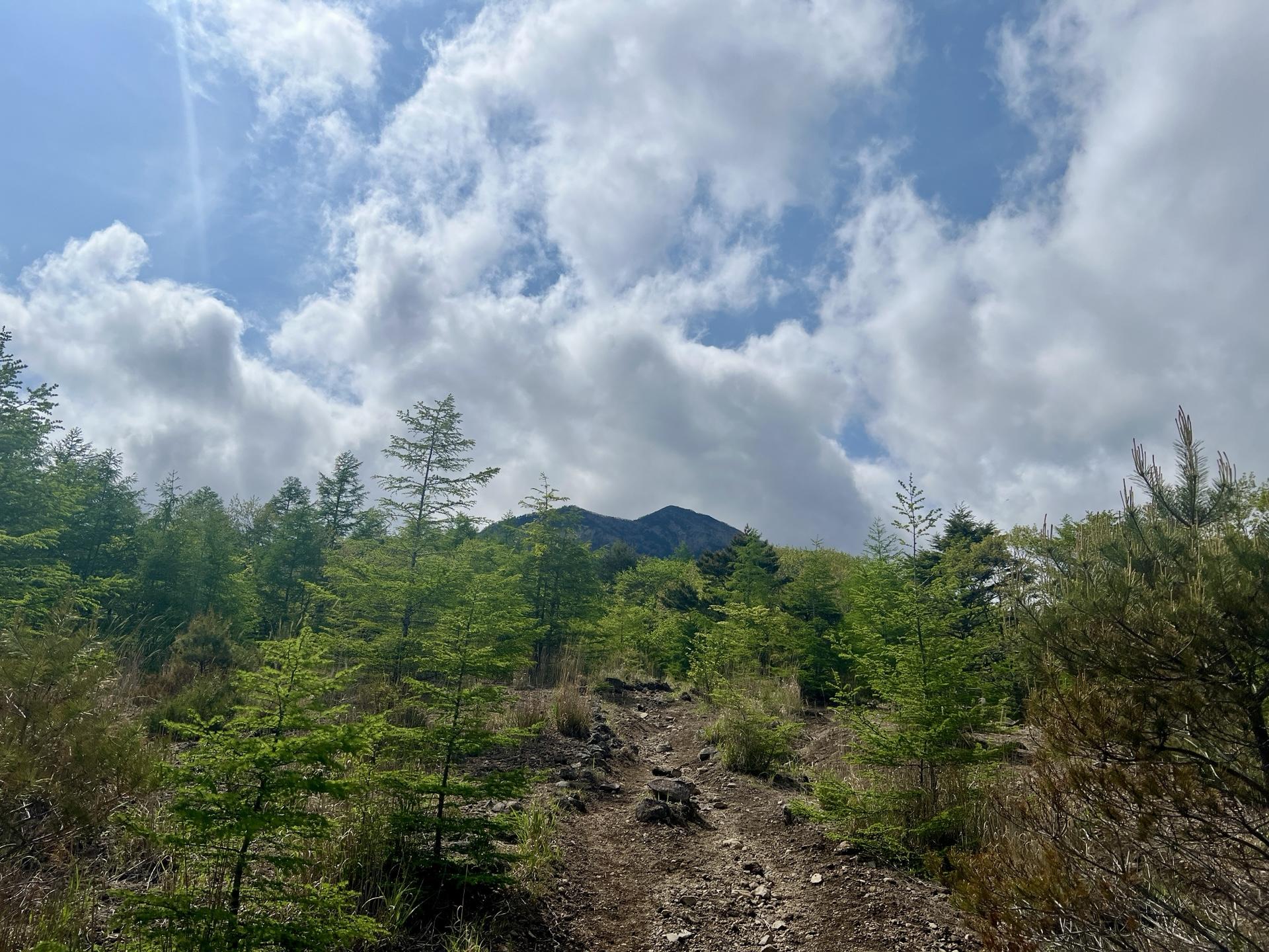 八ヶ岳 権現岳 / ryunosukeさんの八ヶ岳（赤岳・硫黄岳・天狗岳）の活動データ | YAMAP / ヤマップ