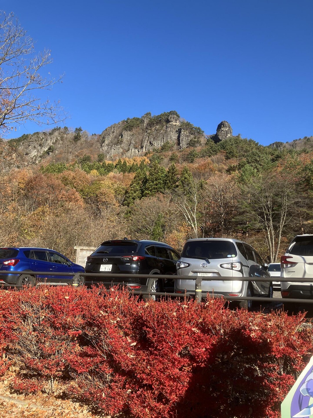 霊山（東ノ物見）・西ノ物見 / クマカッチャンさんの霊山の活動データ | YAMAP / ヤマップ
