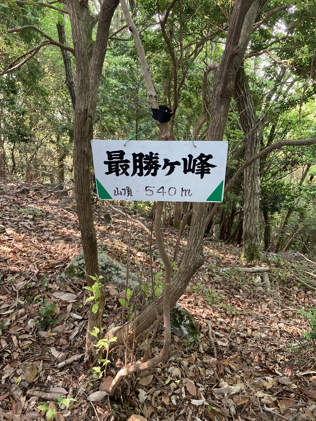 最勝ヶ峰 (さいしょうがみね) / maecciさんの六個山・鉢伏山・明ヶ田尾山・五月山の活動データ | YAMAP / ヤマップ