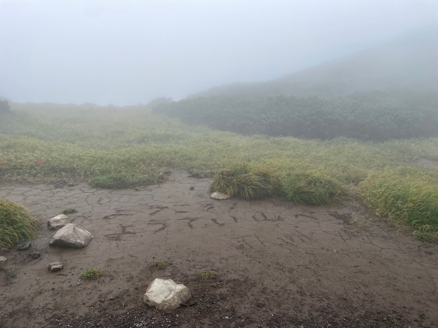 久々〜羊蹄山 / Hiker K2さんの羊蹄山（蝦夷富士）の活動データ | YAMAP / ヤマップ