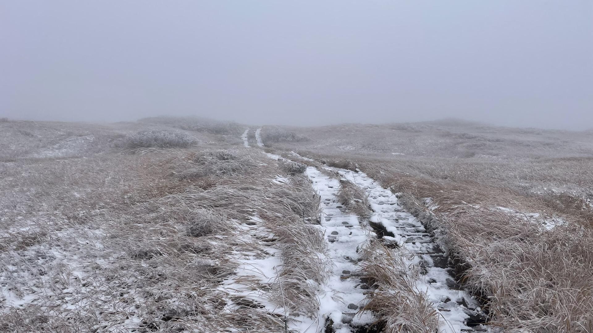 月山-2024-10-20 / t.tamioさんの月山の活動データ | YAMAP / ヤマップ