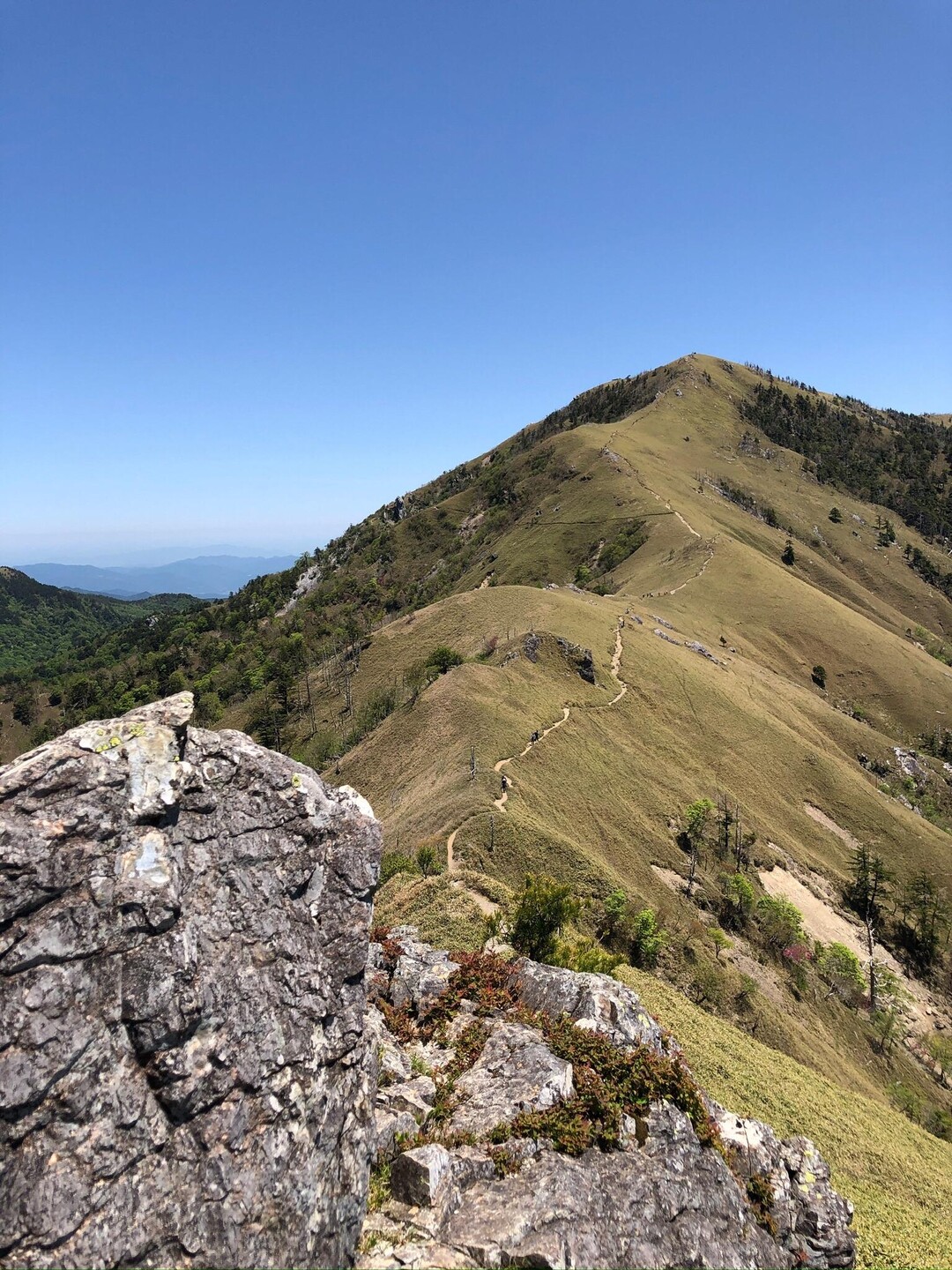 😄剣山・次郎笈☀️ピーカンなり☀️ / お茶犬AGさんの剣山の活動データ | YAMAP / ヤマップ
