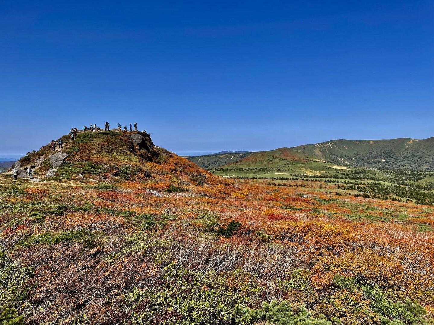 三ッ石山 / komariさんの三ッ石山・大深岳・諸桧岳の活動日記 | YAMAP / ヤマップ