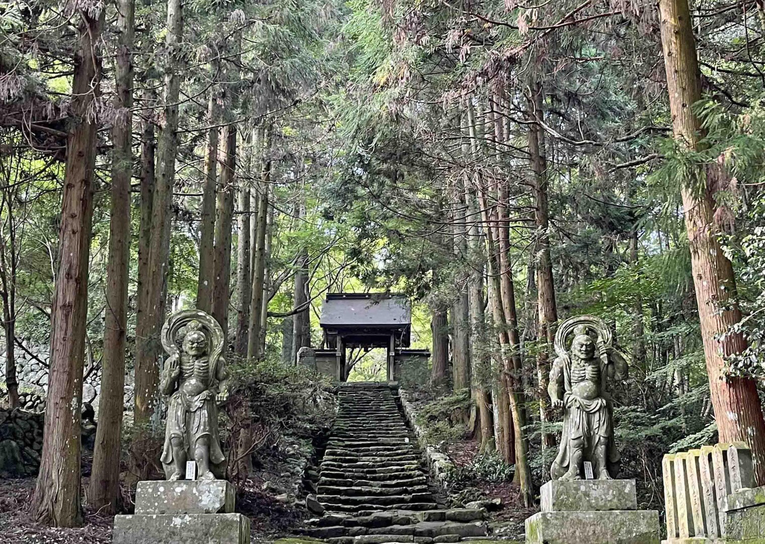 国東旅PM 両子寺 / ねこやんのツレさんの観光の活動データ | YAMAP / ヤマップ