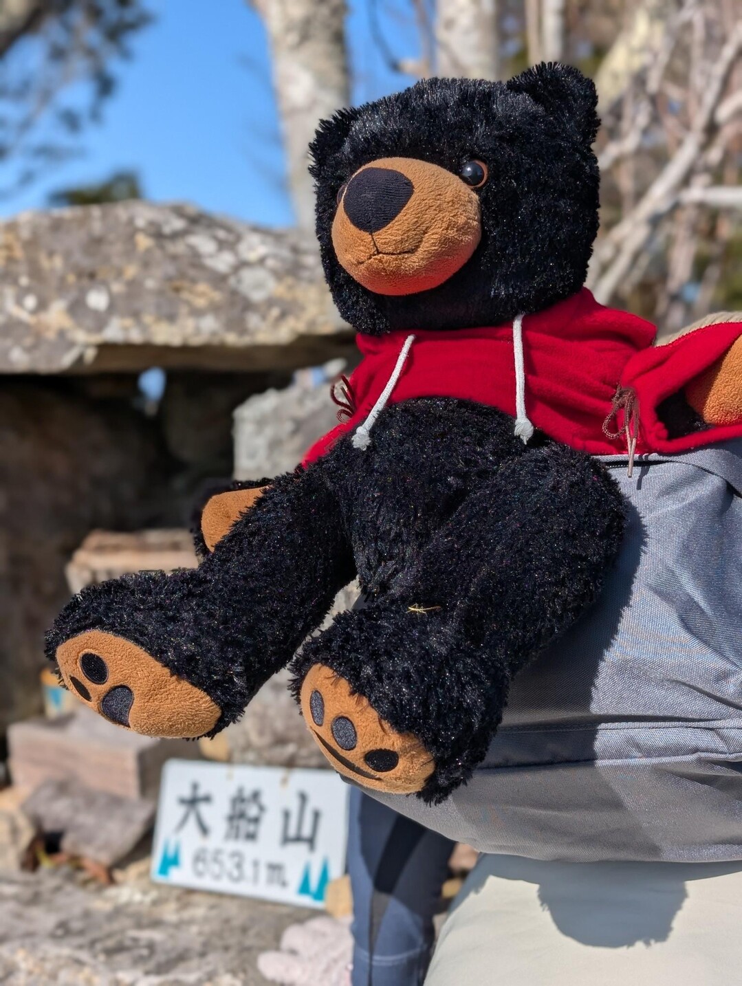 大船山 / mioさんの大船山の活動データ | YAMAP / ヤマップ