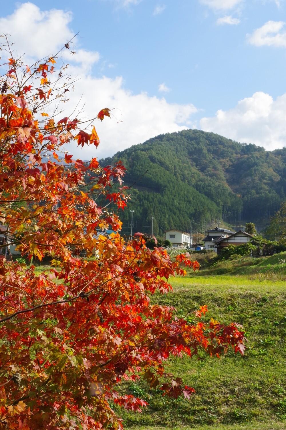 “KISOJI (木曽路)” 1 DAY - Hike JAPAN 野尻宿-須原宿-2024-11-06 / E爺さんぽさんの“KISOJI (木曽路)” DAY 1 - Hike ...