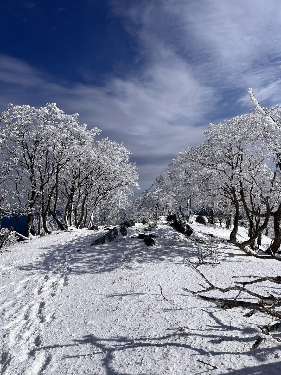 マナコ谷から桧塚奥峰・桧塚 / ta_ba8016さんの桧塚奥峰・明神岳・薊岳の活動データ | YAMAP / ヤマップ