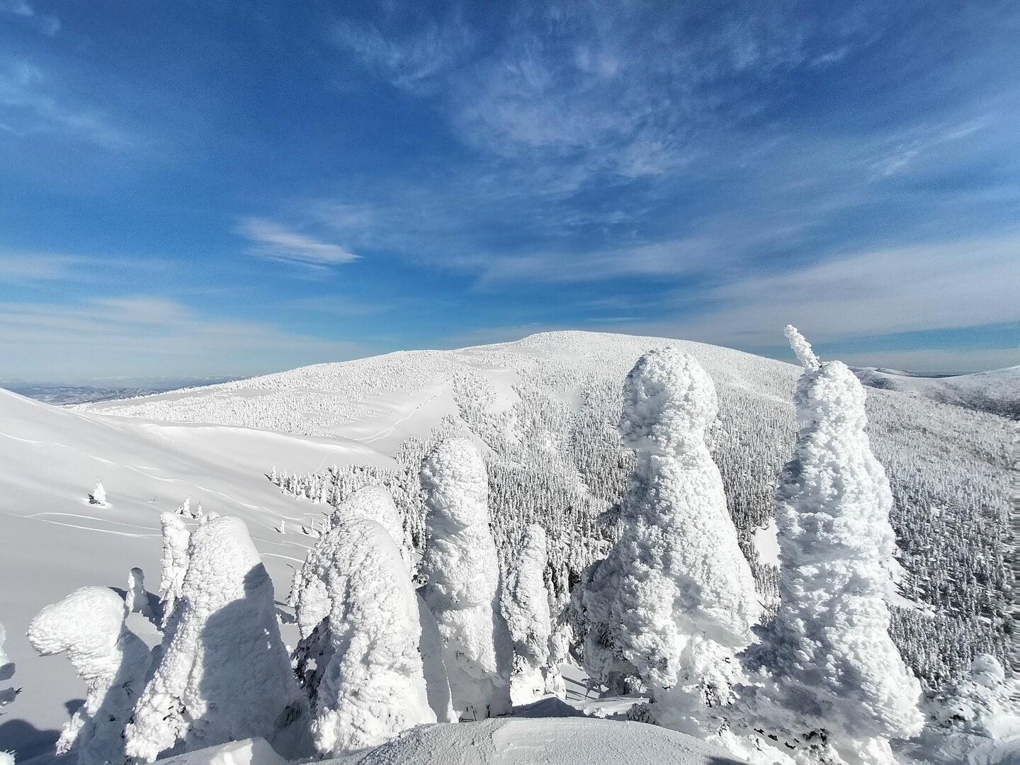西大巓・西吾妻山 / hanaさんの吾妻山・一切経山の活動データ | YAMAP / ヤマップ