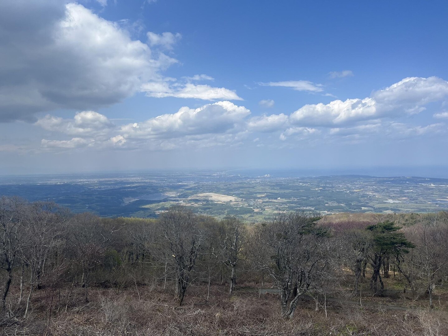MCT 階上岳ゆるトレラン / Mariさんのウォーキングの活動データ | YAMAP / ヤマップ