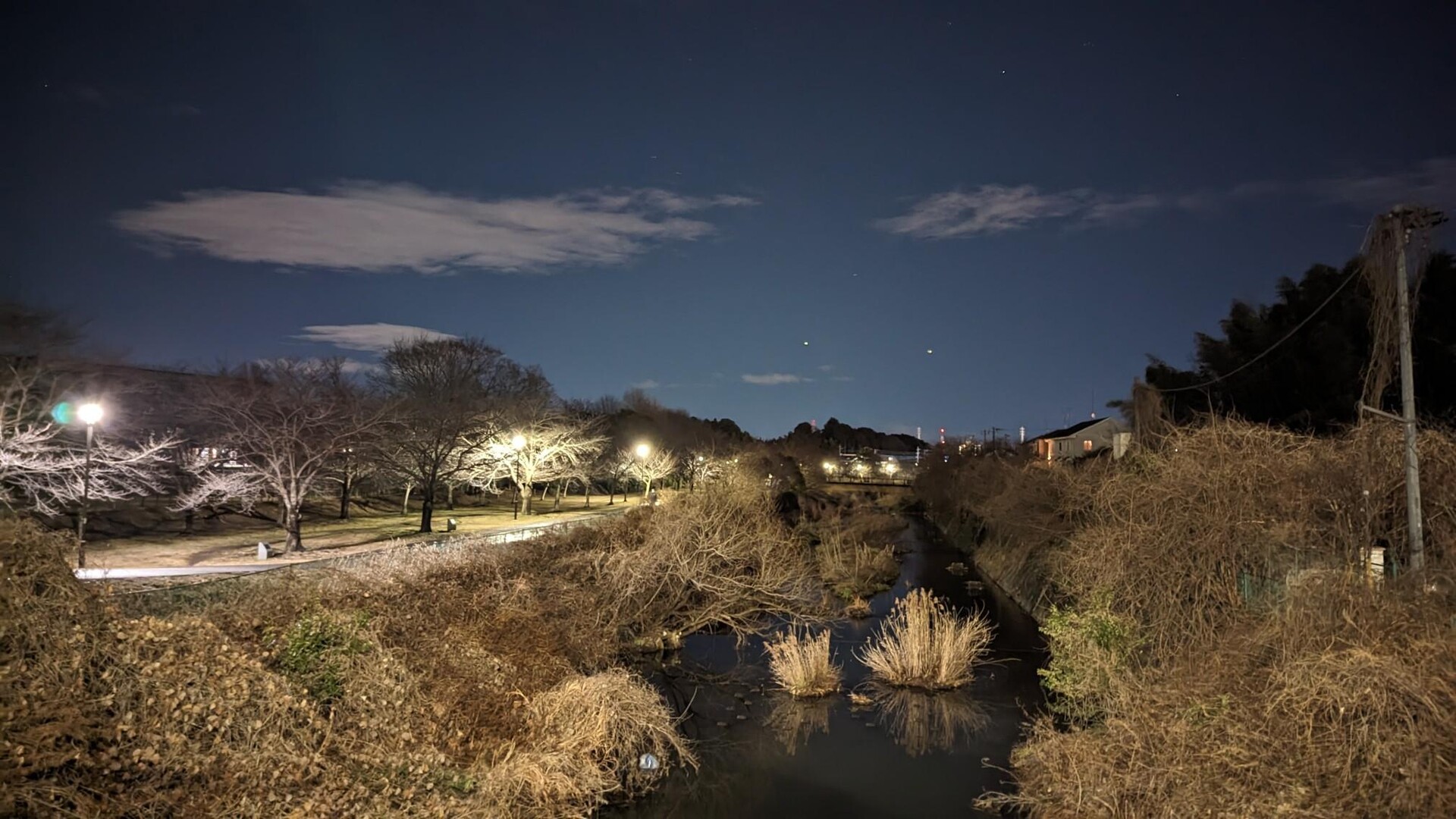 手賀沼ランニング-2024-01-21 / TK54さんのランニングの活動データ | YAMAP / ヤマップ