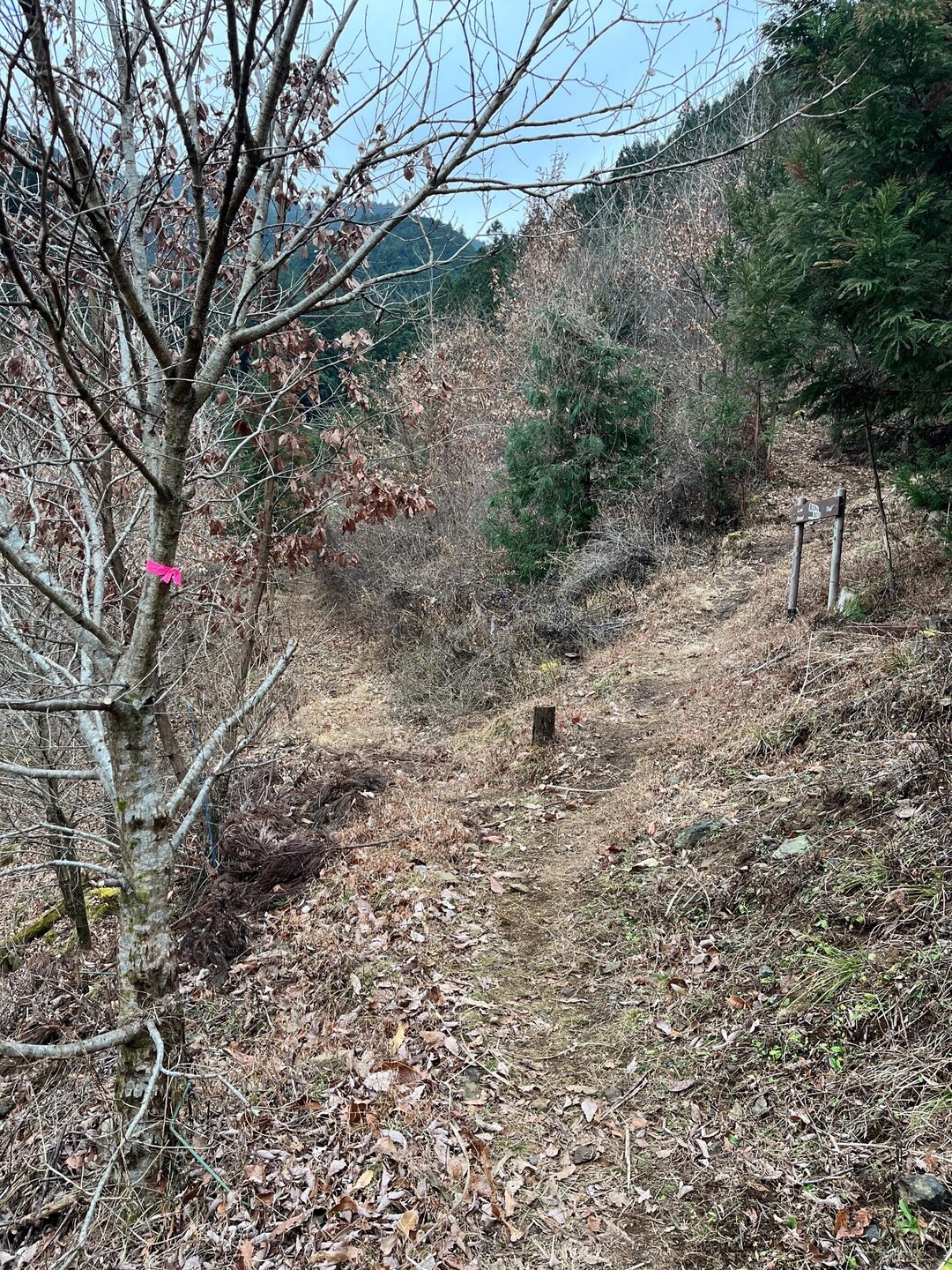 kimiさんの投稿したフィールドメモ | YAMAP / ヤマップ