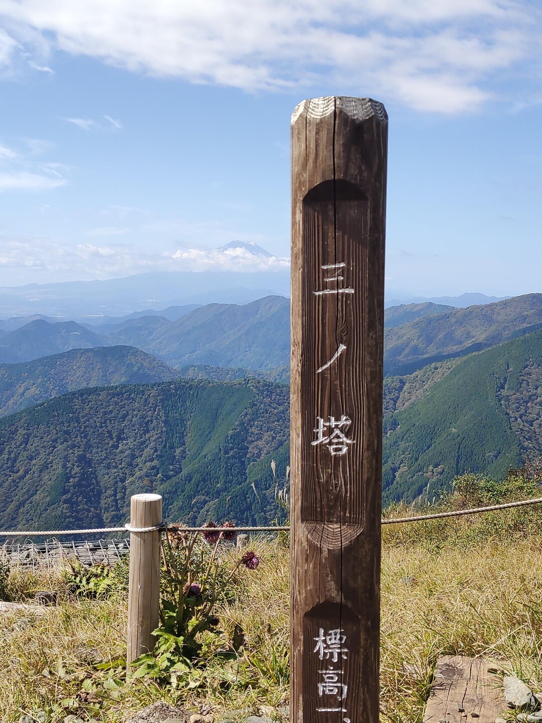 大山・三ノ塔ピストン / yosさんの大山の活動データ | YAMAP / ヤマップ