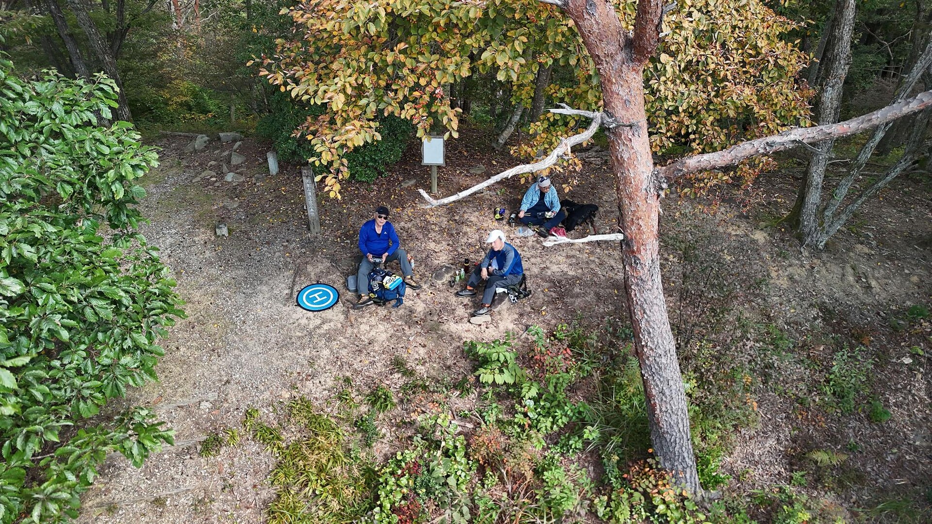 鷹巣山・引寄山 / Oysterさんの鷹巣山の活動データ | YAMAP / ヤマップ