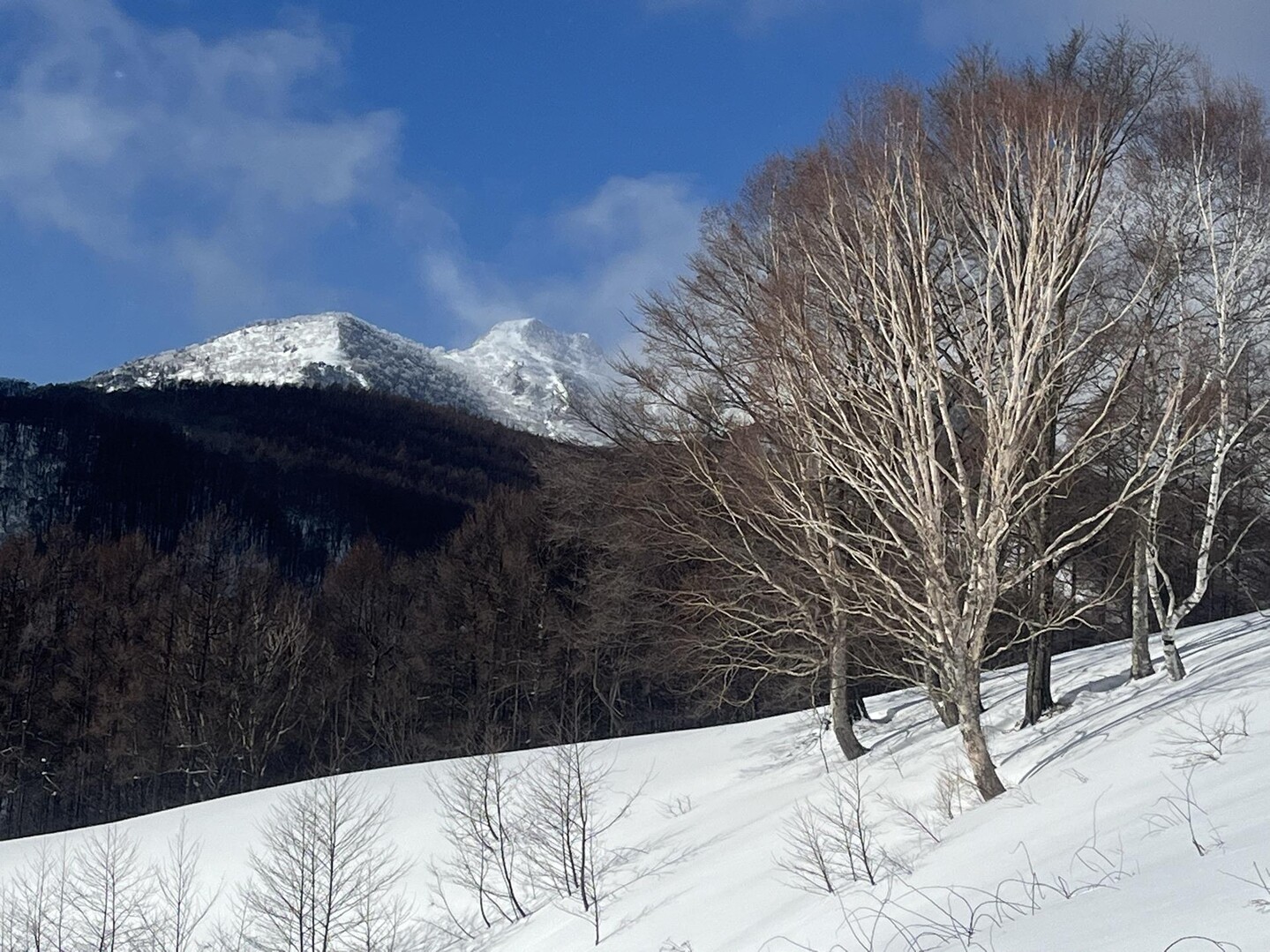 武尊牧場 / fumさんの武尊山・鹿俣山・尼ヶ禿山の活動データ | YAMAP / ヤマップ
