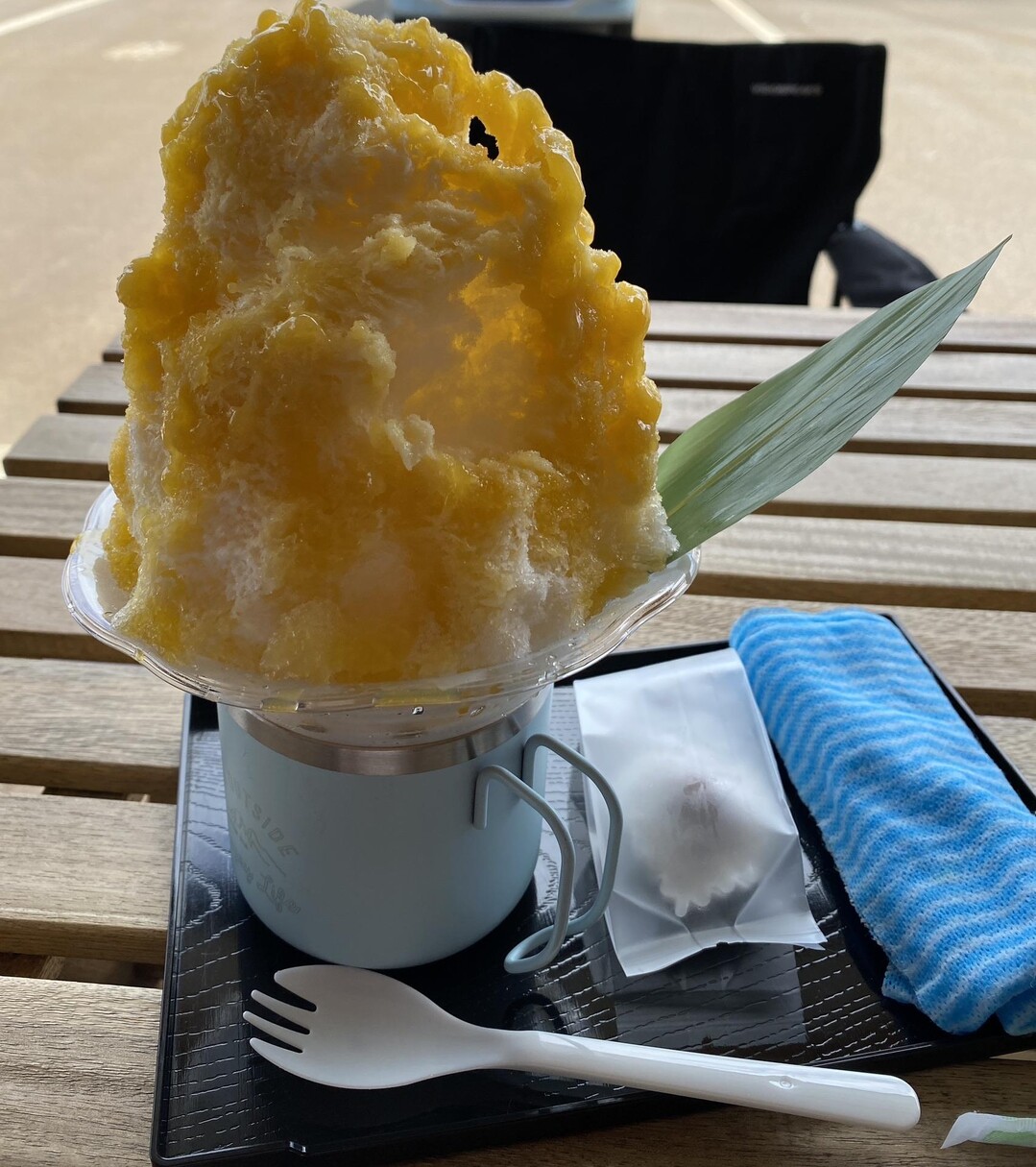 さささ堂 かき氷🍧 / tatatuさんのモーメント | YAMAP / ヤマップ