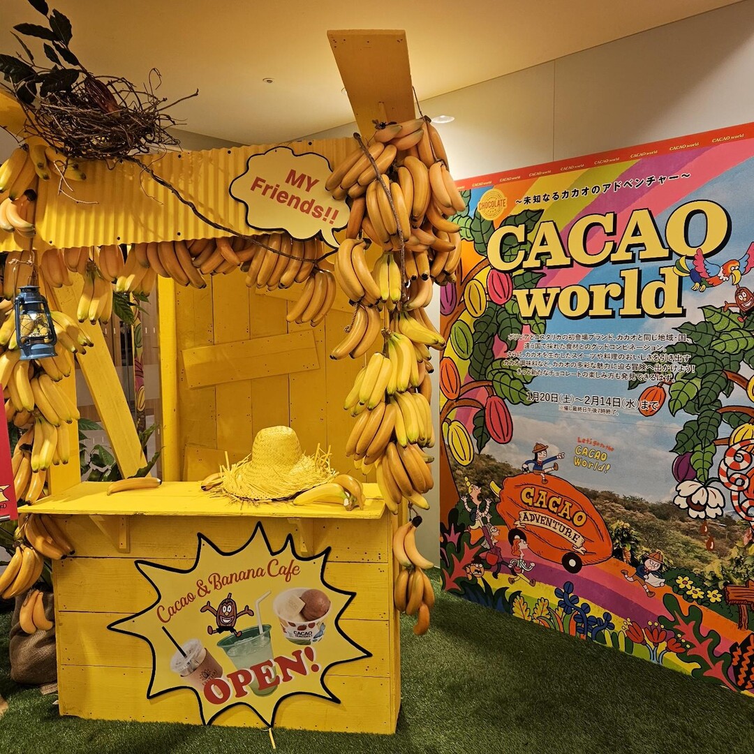 Saint Valentine's Day先手必勝・献血🩸💉・CK-Adaptation・日神山#66-2024-01-25 / Yúlÿさんのポンポン山・釈迦岳・小塩山・若山の活動データ ...