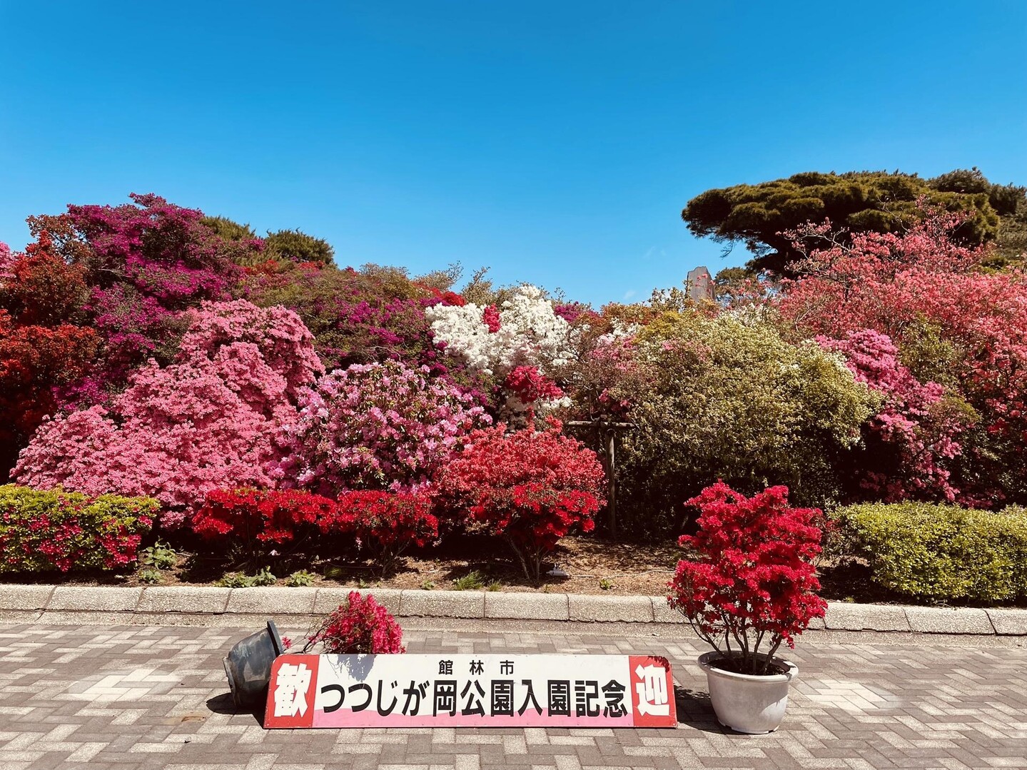 強風の中…つつじが岡公園へ、行って来まし... / erikoさんのモーメント | YAMAP / ヤマップ