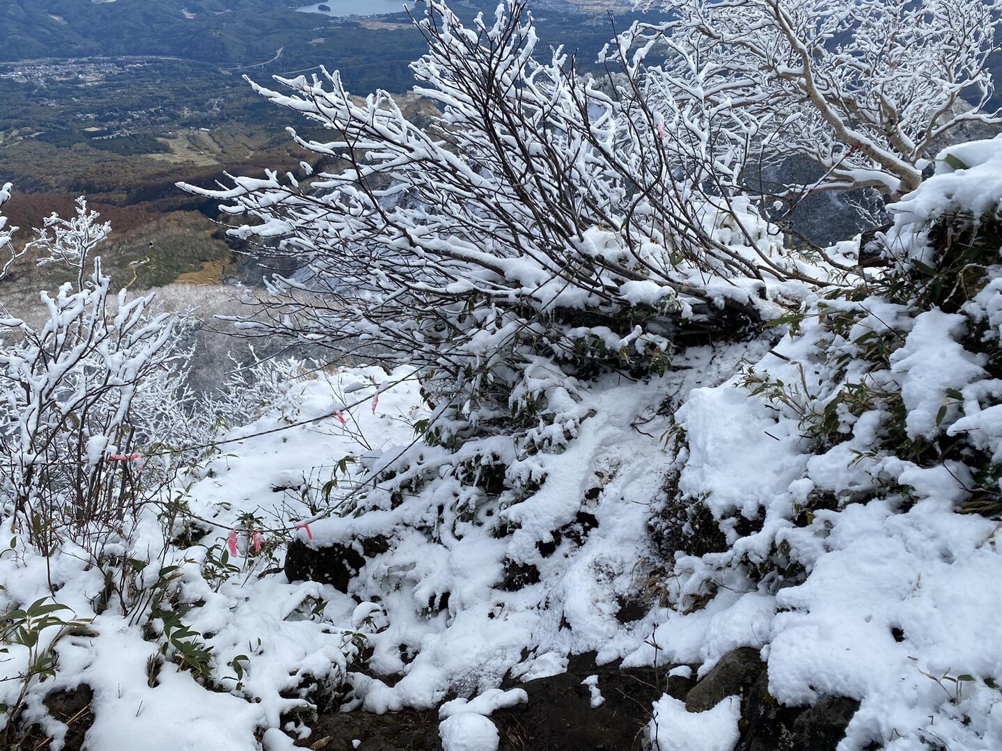 Gentil15さんの投稿したフィールドメモ | YAMAP / ヤマップ