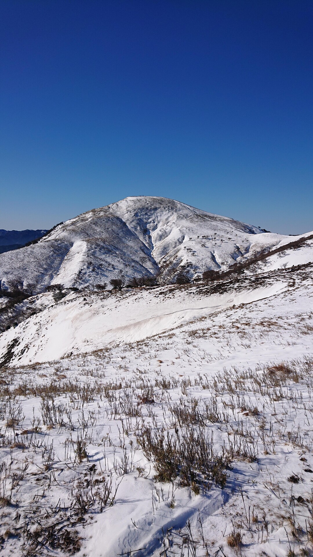 【急募】2月17日黒斑山、18日北横岳 / YAMAP の山コミュニティ | YAMAP / ヤマップ