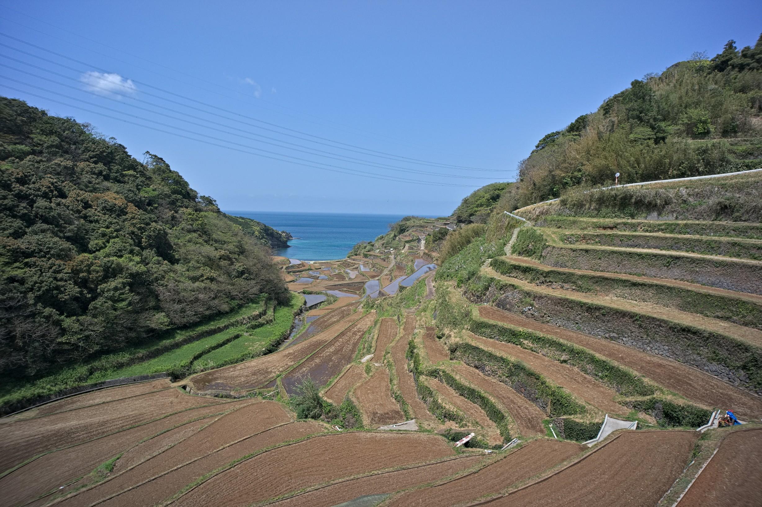 浜野浦の棚田 天気が良かったので様子... / GTさんのモーメント | YAMAP / ヤマップ
