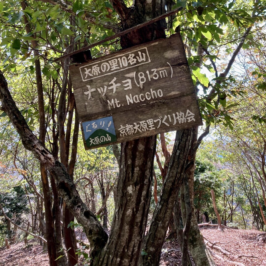 天ケ森（ナッチョ） / Hirofumi I🕶さんの皆子山の活動データ | YAMAP / ヤマップ
