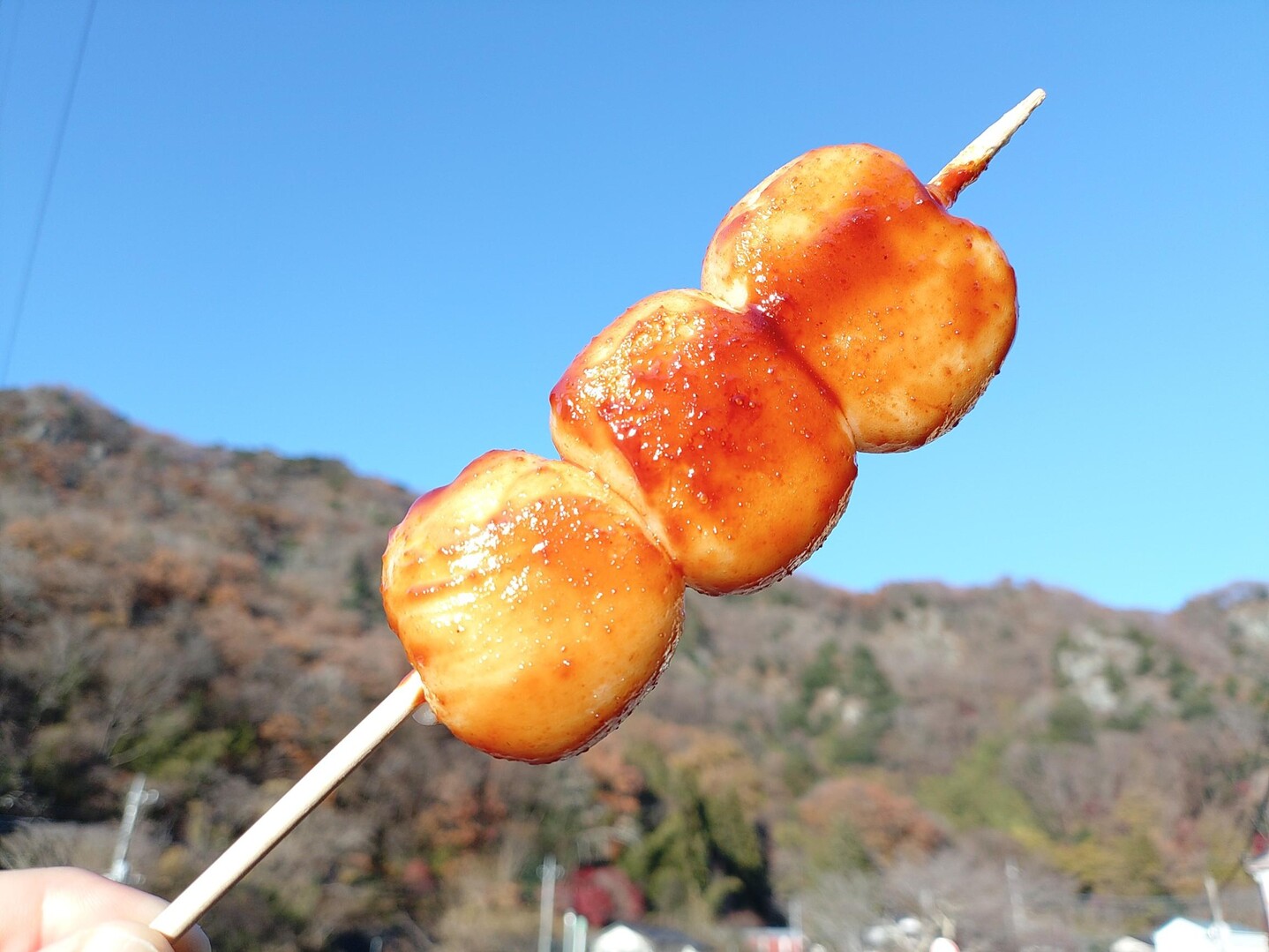 紅葉の月居山🍁 / kohirouさんの生瀬富士・大子アルプスの活動日記 | YAMAP / ヤマップ