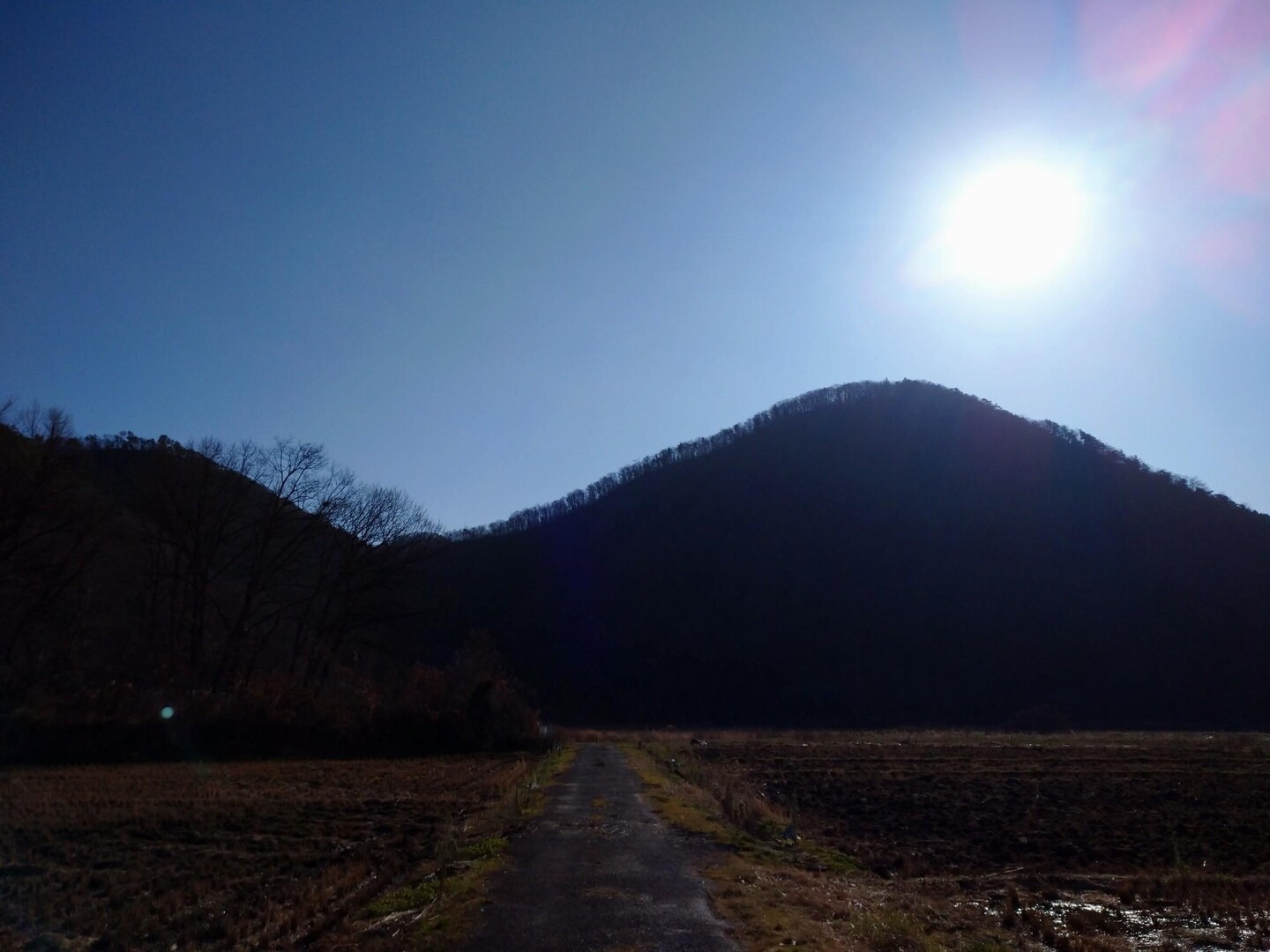 盃山→大岡山LSD / nochさんの大岡山・小菰石山の活動データ | YAMAP / ヤマップ
