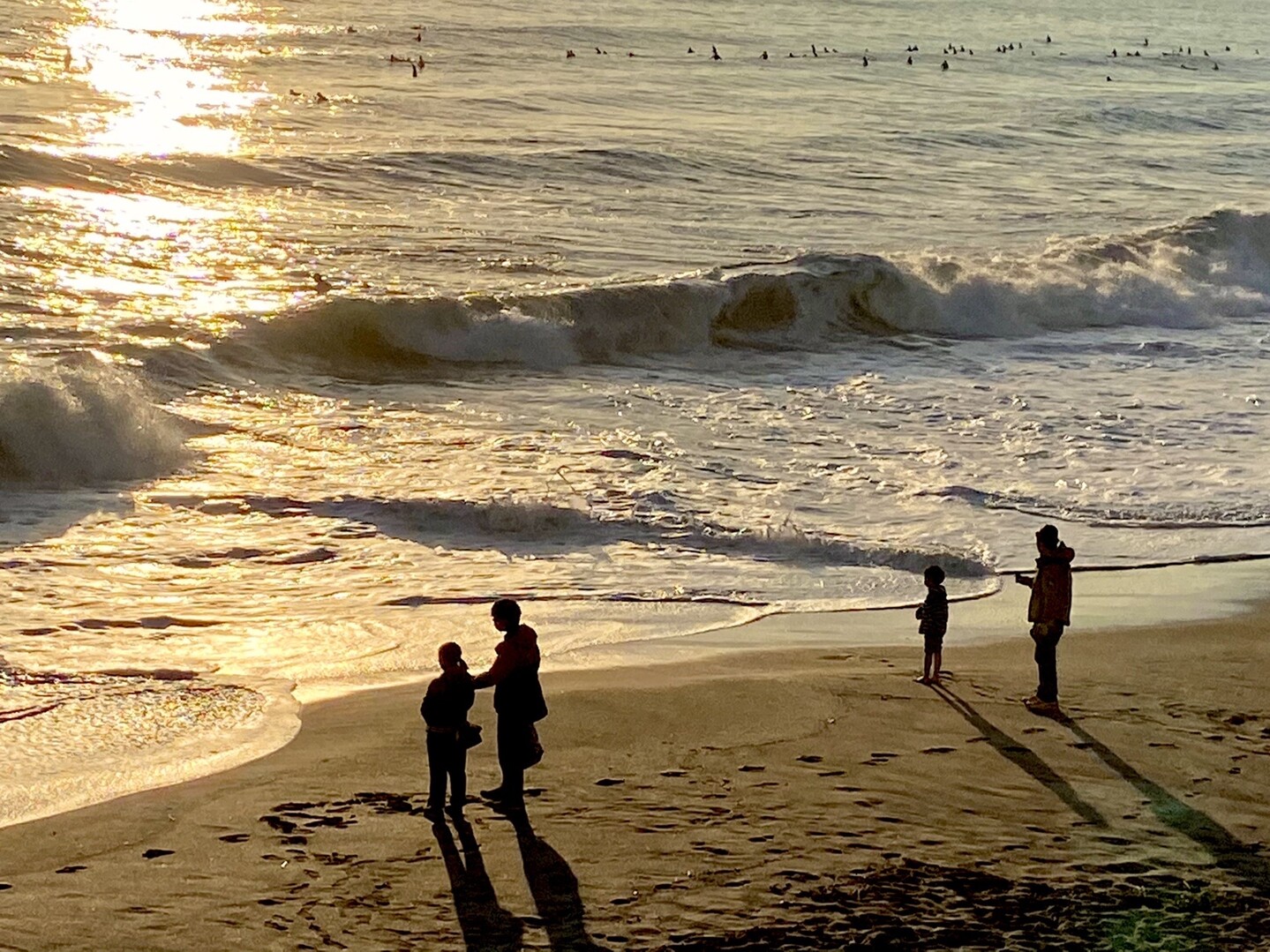 年末ゆる江ノラン🏃 / 3to4さんの鎌倉市の活動データ | YAMAP / ヤマップ