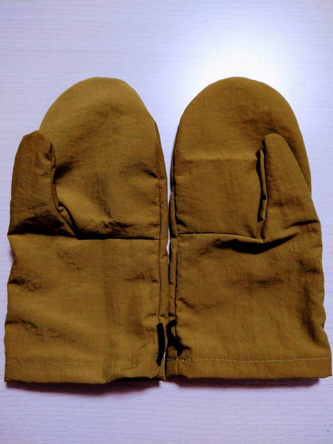 初myog。ウィンドシェルミトン。 相当... / ichikaさんのモーメント | YAMAP / ヤマップ