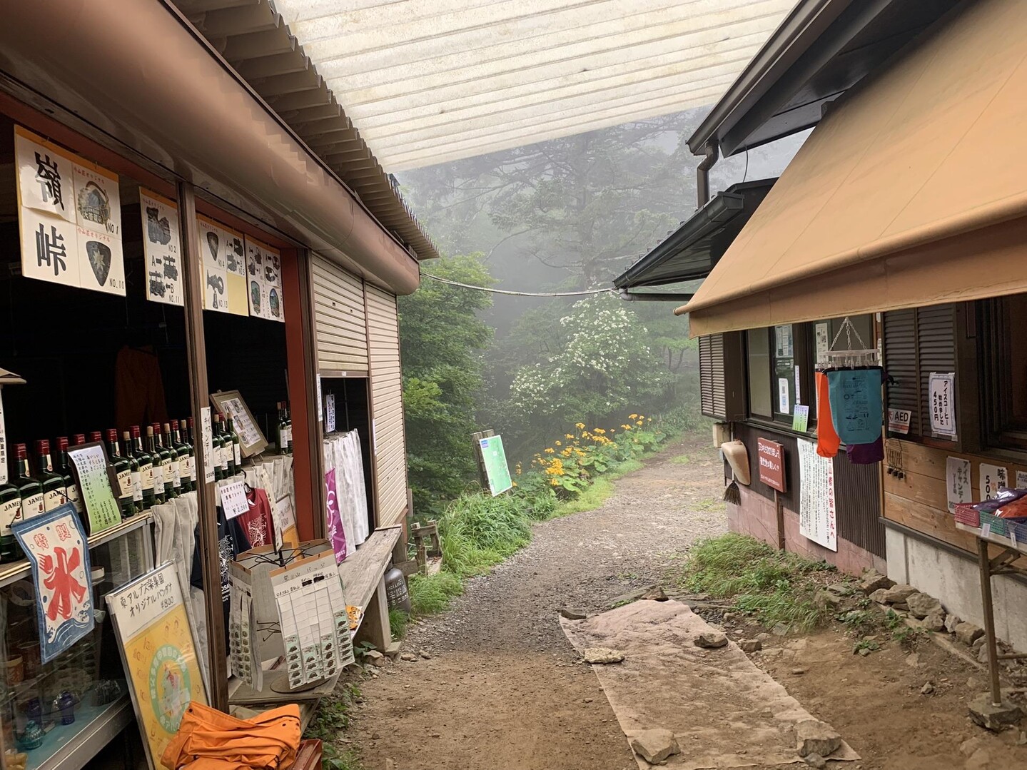 親不知ノ頭・大菩薩嶺・妙見ノ頭 / kuro さんの大菩薩嶺・鶏冠山・大マテイ山の活動日記 | YAMAP / ヤマップ