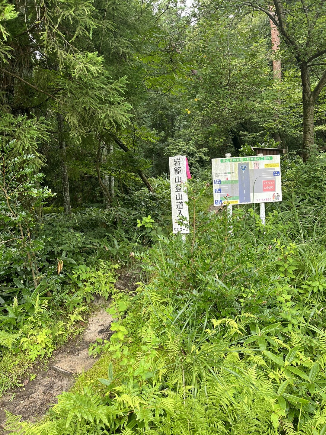 奥野山・岩籠山・夕暮山 / coyaさんの岩籠山の活動データ | YAMAP / ヤマップ