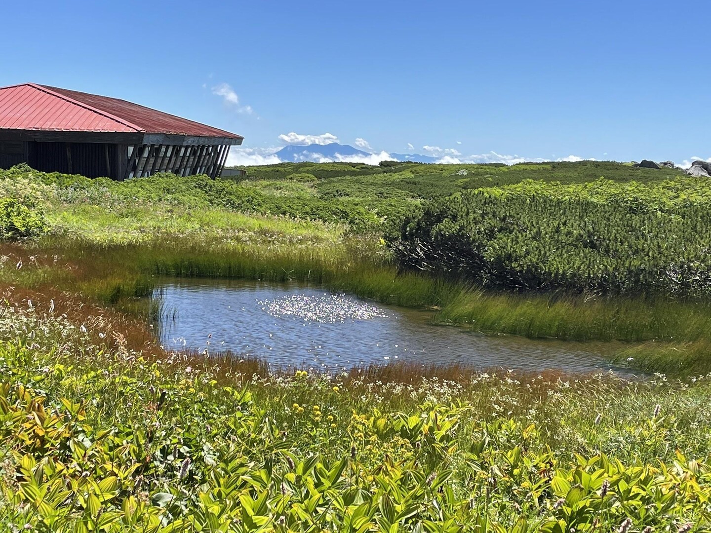 Cなのに🅰️ 爆風で往復ビンタ白山 / ゆきuんこさんの白山・別山・銚子ヶ峰の活動データ | YAMAP / ヤマップ